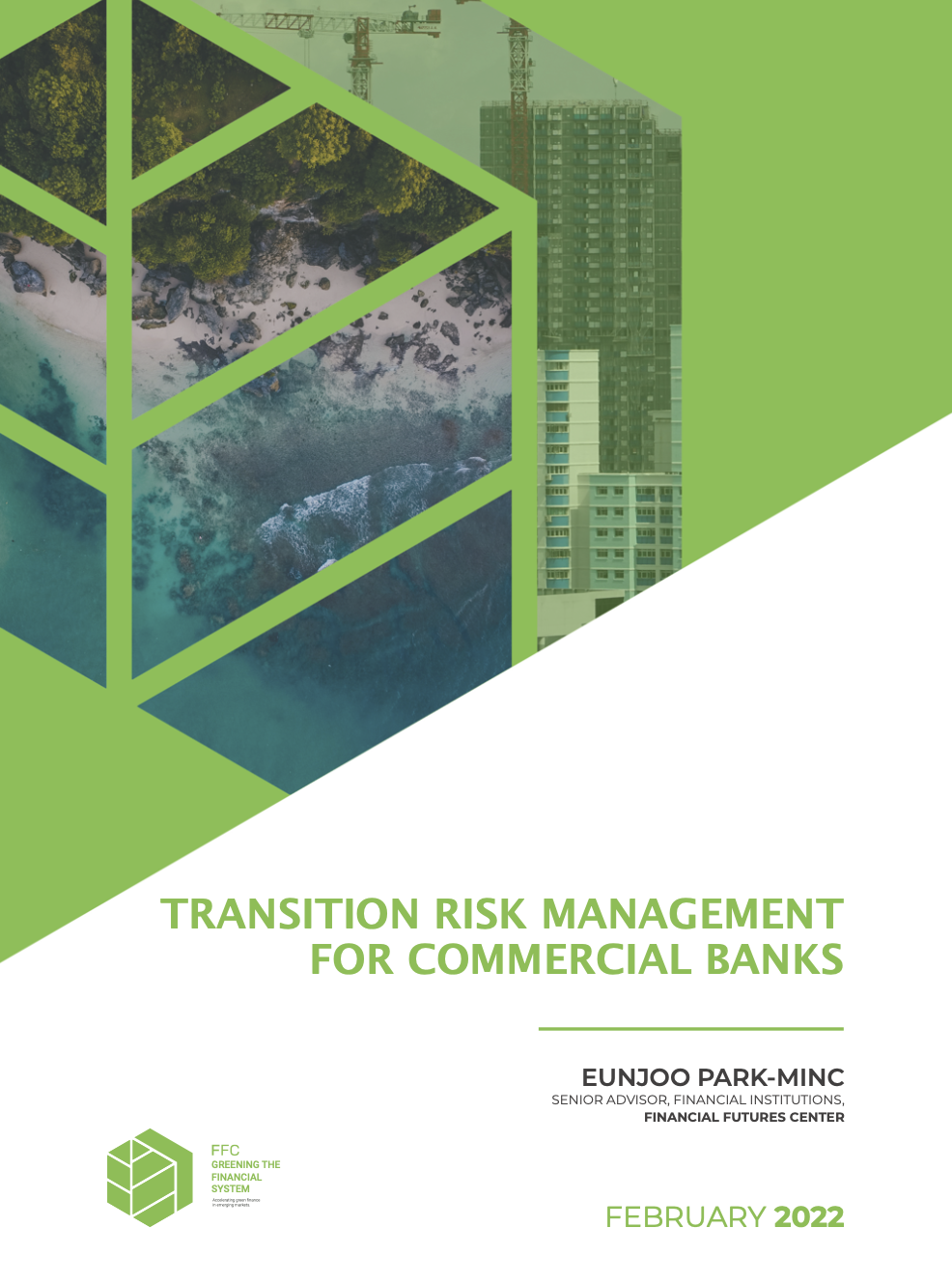 Transition Risk Management for Commercial Banks - FFC